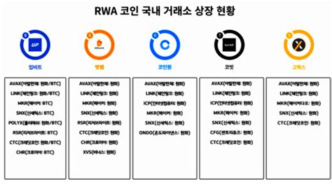 Rwa 코인 종류 순위 분석 실물자산 가상자산 대장 업비트 빗썸 Bull