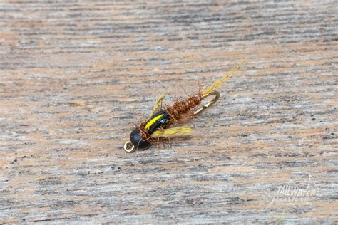 Mayflies Archives Tailwater Junkie