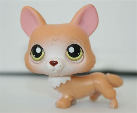 LPS Littlest Pet Shop #183 CORGI Puppy Dog Tan & White #Hasbro ...