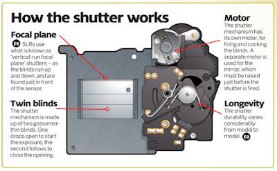Cinematographer Electronic Shutter