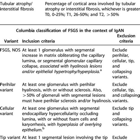 Definitions Of Oxford Criteria For Igan And Of The Columbia