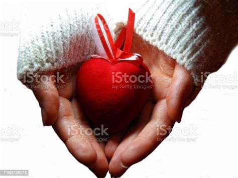 흰색 Baclkground에 여성의 손에 빨간색과 흰색 줄무늬와 빨간 마음 감각 지각에 대한 스톡 사진 및 기타 이미지 감각