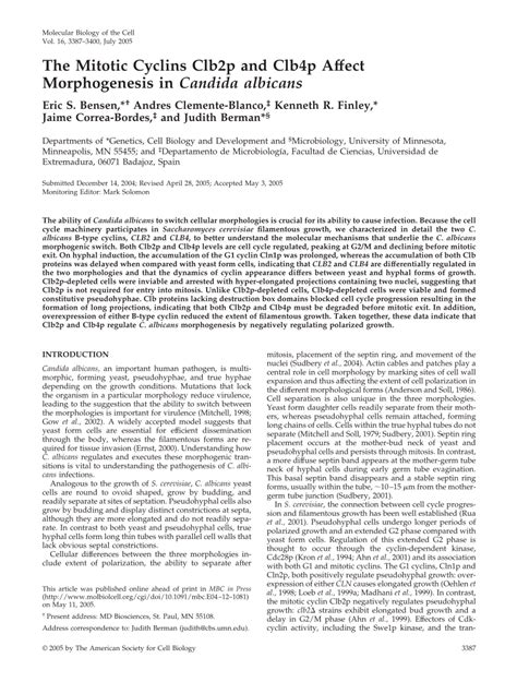 Pdf The Mitotic Cyclins Clb2p And Clb4p Affect Morphogenesis In