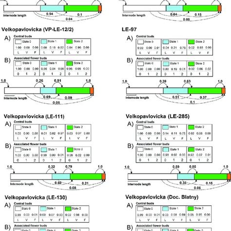 Schematic Representation And Parameter Values Of The Hidden Semi Markov Download Scientific