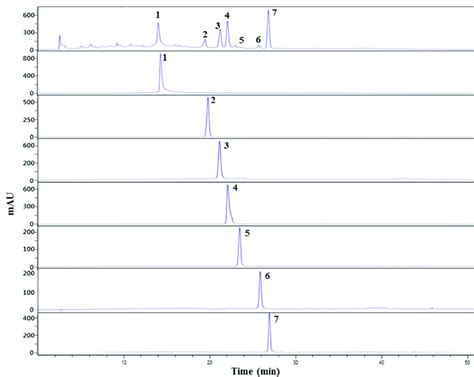 Hplc Chromatogram Of The Compounds Isolated From The N Buoh Fraction Of