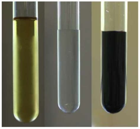 Sensors Free Full Text Fluorescence Sensing Platforms For