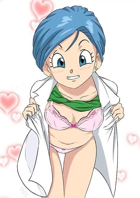 100 Dragon Ball Z Dragon Ball Super The Best Waifus