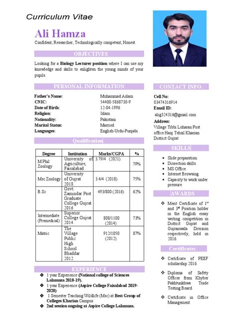 Hamza Cv Latest Pdf Master Of Science Vocational Education