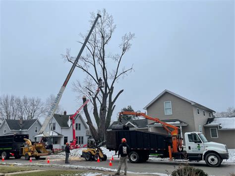 Tree Services In Valparaiso In Tandt Tree Service