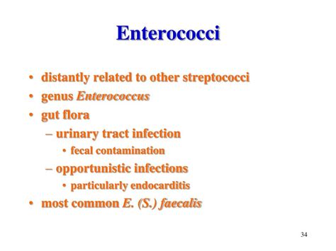 Ppt Streptococci Gram Positive Cocci Lecture 45 Powerpoint Presentation Id 524591