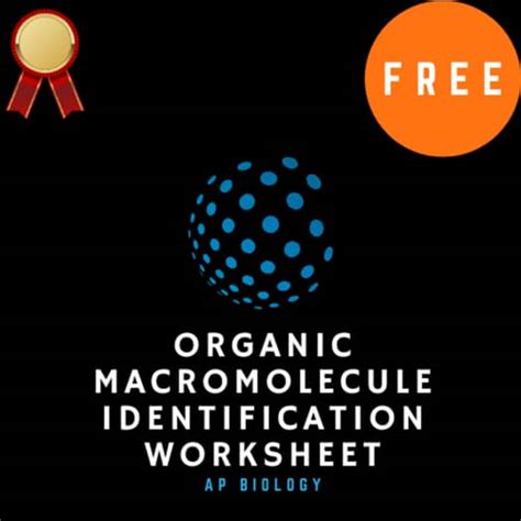 Ap Biology Macromolecules Worksheet Organic Macromolecule Identification