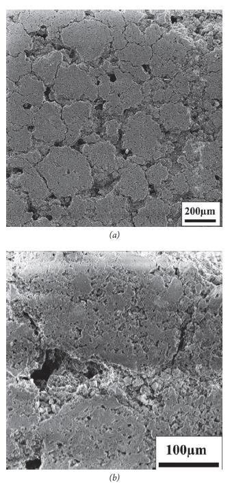 Structure Of Porous Ceramics With A Hierarchical Porosity Of 60 After Download Scientific