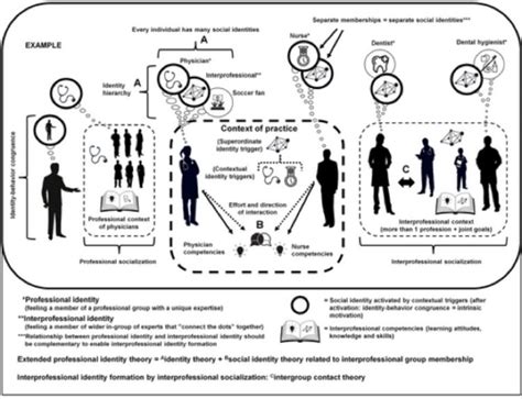 Extended Professional Identity Theory Why A Professional Identity And