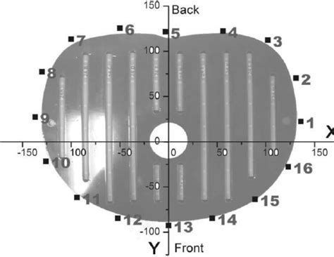 Schematic Illustration Of TLD Positions Within The Detector Download Scientific Diagram