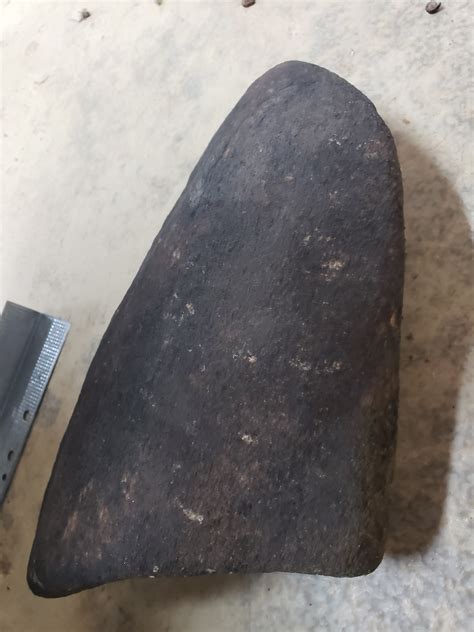 Help Identifying Fossil Id The Fossil Forum