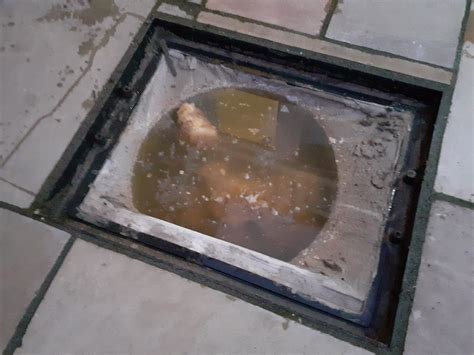 Diy Vs Professional Drain Unblocking Which Is Best For You Call 01934 239016 Your Drains