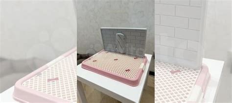 Лоток для собак со стенкой купить в Новосибирске | Животные и зоотовары ...