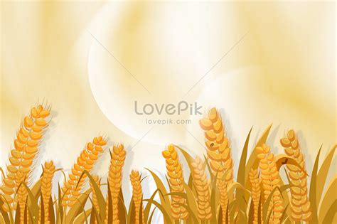 가을 밀 귀 배경 이미지 Hd 가을 밀 이삭 풍성한 수확 배경 사진 무료 다운로드 Lovepik