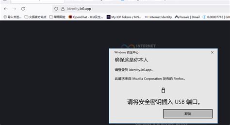 i encountered a problem while using internet i identity to verify my identity internet