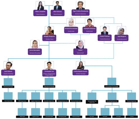 Investor Company Structure Multi Medika Internasional