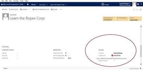 Microsoft Dynamics Crm 2013 Learn The Ropes Business Rules In Crm