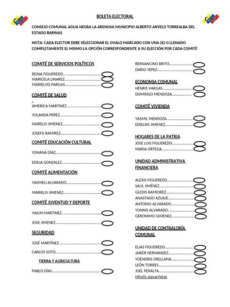 Boleta Electoral Pdf