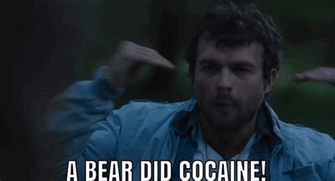 Bear Walks Off With Mans 500 Chainsaw Tennessee Video Shows ‘this