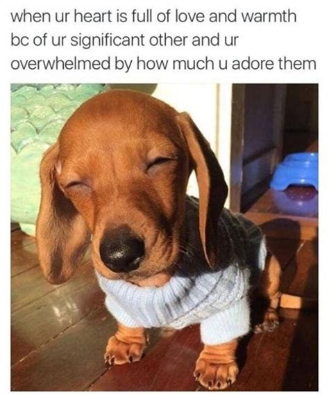 30 Funny Girlfriend Memes To Share With Your Best Girlfriend Ever