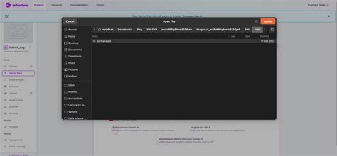Live Object Detection And Image Segmentation With YOLOv8 Analytics Vidhya
