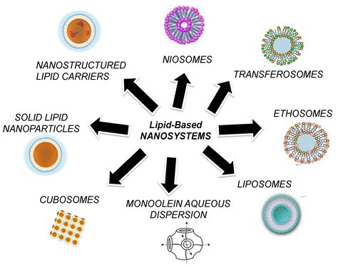 Lipid Based Nanosystems As A Tool To Overcome Skin Barrier