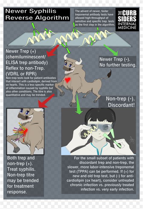 Stis New Syphilis Algorithm Cartoon Hd Png Download 1606x2265