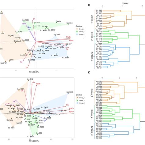 Principal Component Analysis Hierarchical Clustering And Various