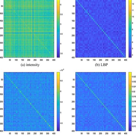 Visualization Of Each Feature Affinity Matrix And Final Affinity Matrix