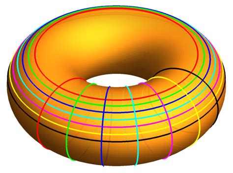 Fourteen Topologically Distinct Global Loops Winding In The Two