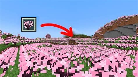 я посадил вишнёвое дерево Youtube