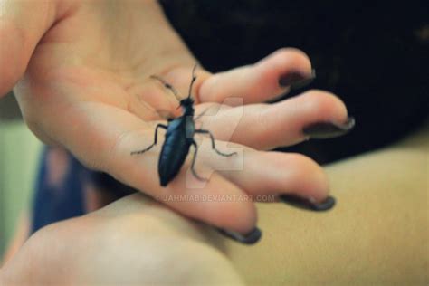 Bug By Jahmiab On Deviantart