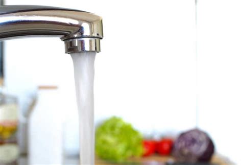 Help My Garbage Disposal Is Not Working After Reset