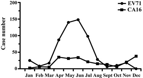 Molecular Epidemiology Of Human Coxsackievirus A16 Strains