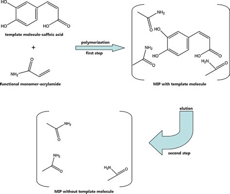 Schematic Principle Of Caffeic Acid Imprinted Polymers Download Scientific Diagram