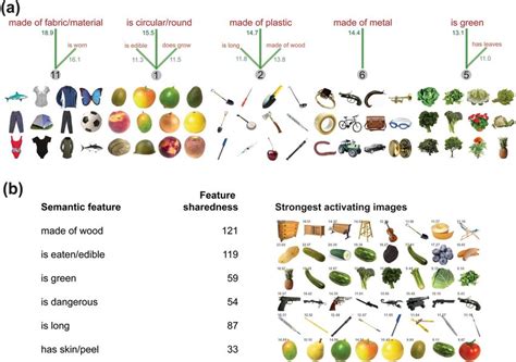 A Relationship Between High Level Visual Information And Semantic