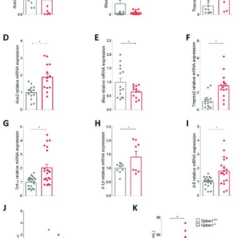 Administration Of The Gpbar1 Agonist Further Increases Ace2 Expression