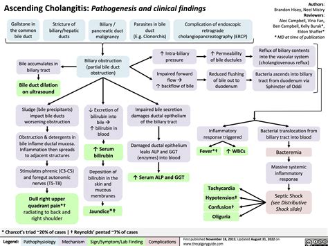 Ascending Cholangitis Pathogenesis And Clinical Findings Calgary Guide