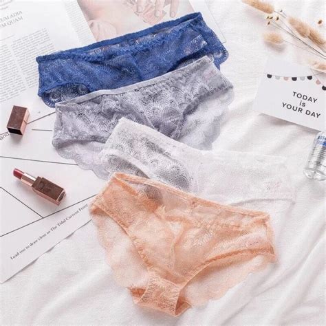 Sexy Sheer Lace Bikini Brief Undies Pack Of 4 Silkadora Where