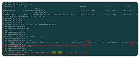 Oceanbase—01（入门篇——使用docker安装oceanbase以及介绍连接ob的几种方式） Csdn博客