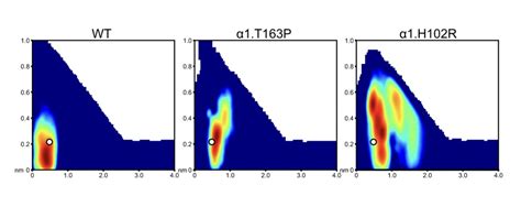 modeling bimodal modulation molecular biophysics stockholm