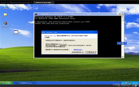 pwn ——对缓冲区栈的溢出攻击 （下） immunity debugger 下载 csdn博客