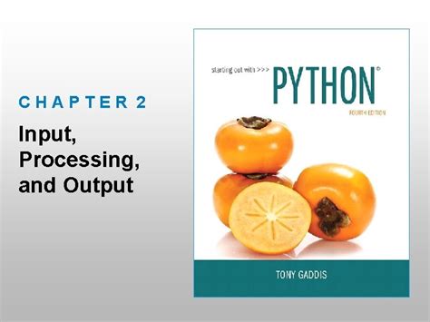 Chapter 2 Input Processing And Output Introduction To
