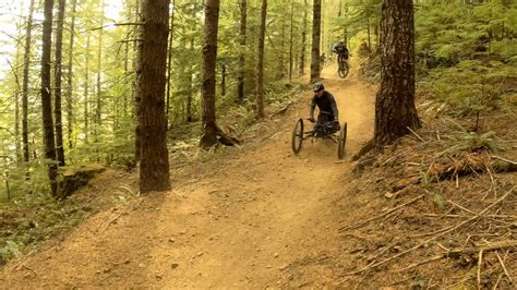 Alsea Falls — The Unpavement