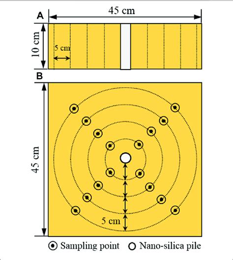 Experimental Arrangement And Sampling Point Download Scientific