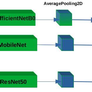 Estimating The Type Of Plants With The CNN Model Download Scientific Diagram